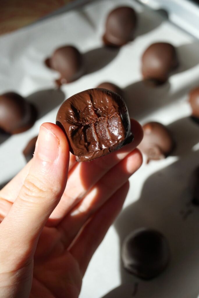 Healthy Chocolate Truffles | Boo Boo's Bakery