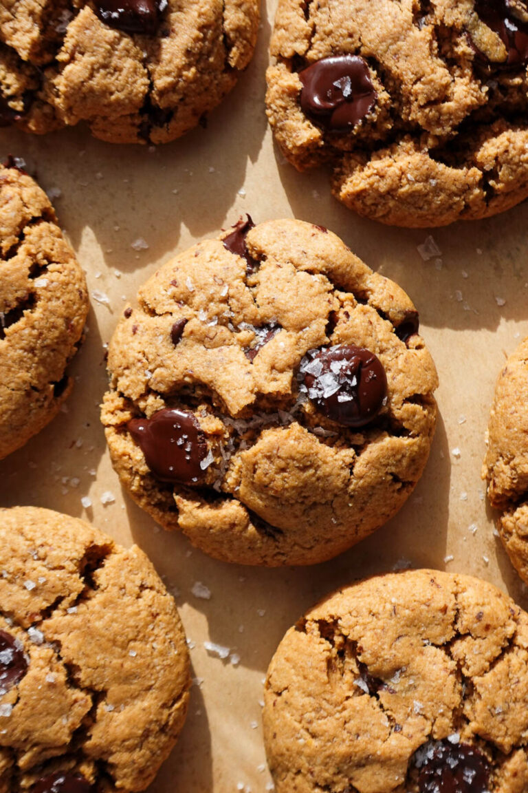 Vegan Chocolate Chip Cookies (Gluten-Free) | Boo Boo's Bakery