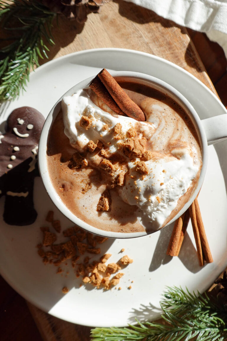 Vegan Gingerbread Hot Chocolate | Boo Boo's Bakery