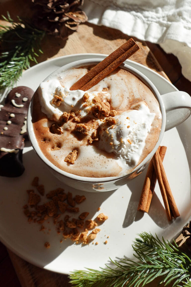 Vegan Gingerbread Hot Chocolate | Boo Boo's Bakery