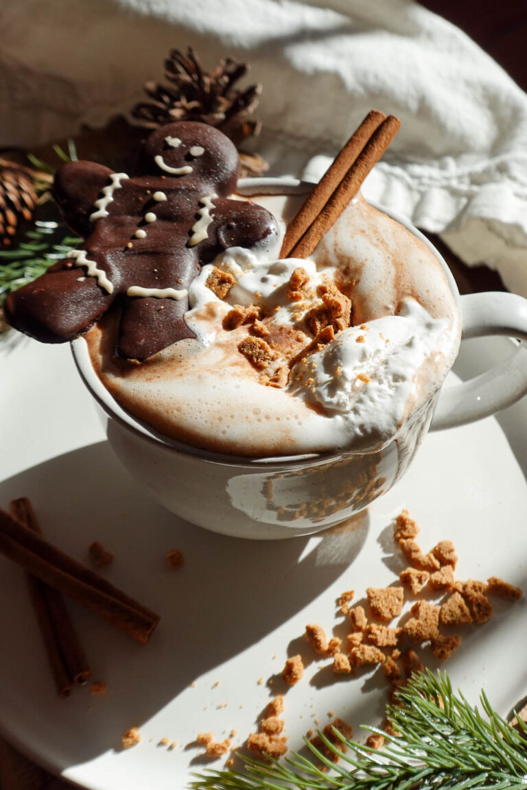 Vegan Gingerbread Hot Chocolate | Boo Boo's Bakery