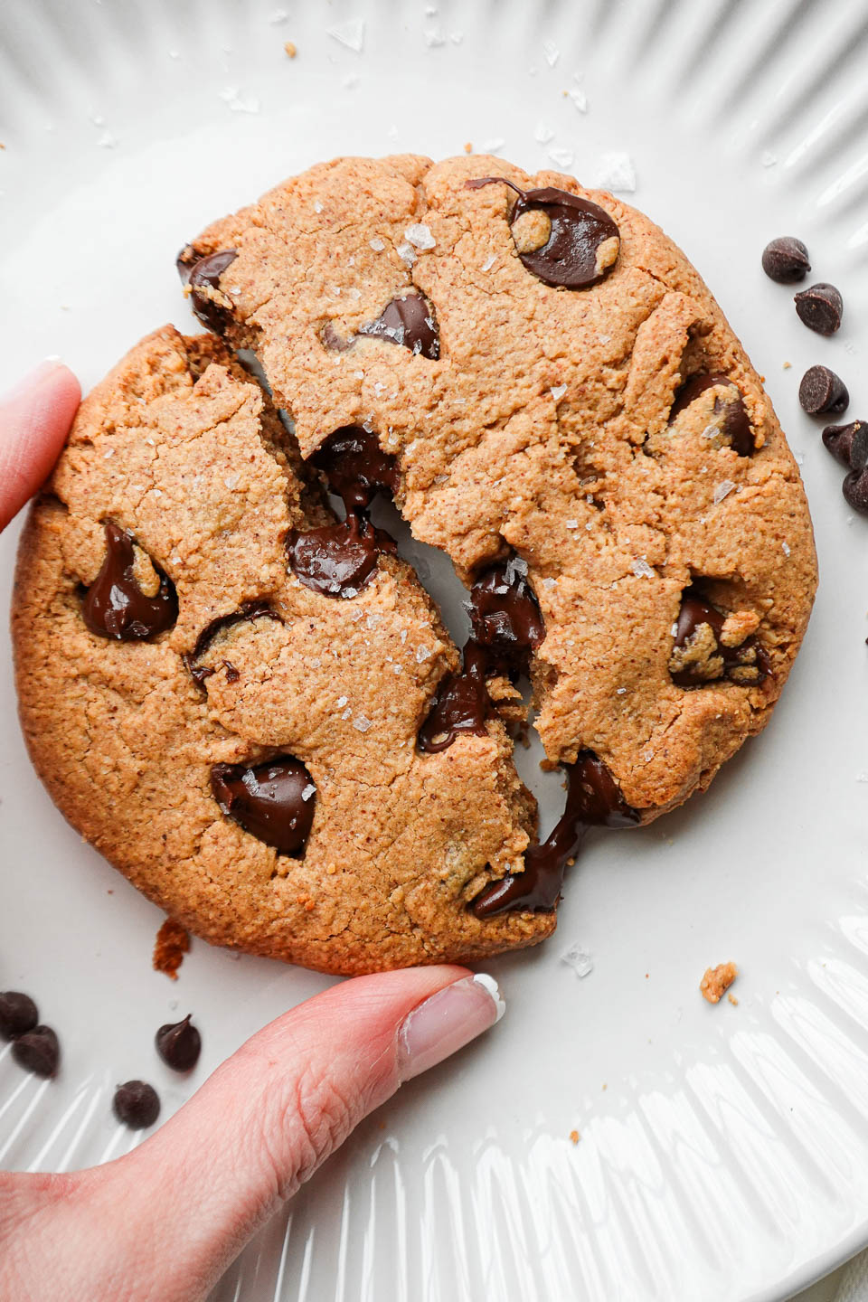 Single Serve Chocolate Chip Cookie (Vegan, Gluten-Free) - Boo Boo's Bakery